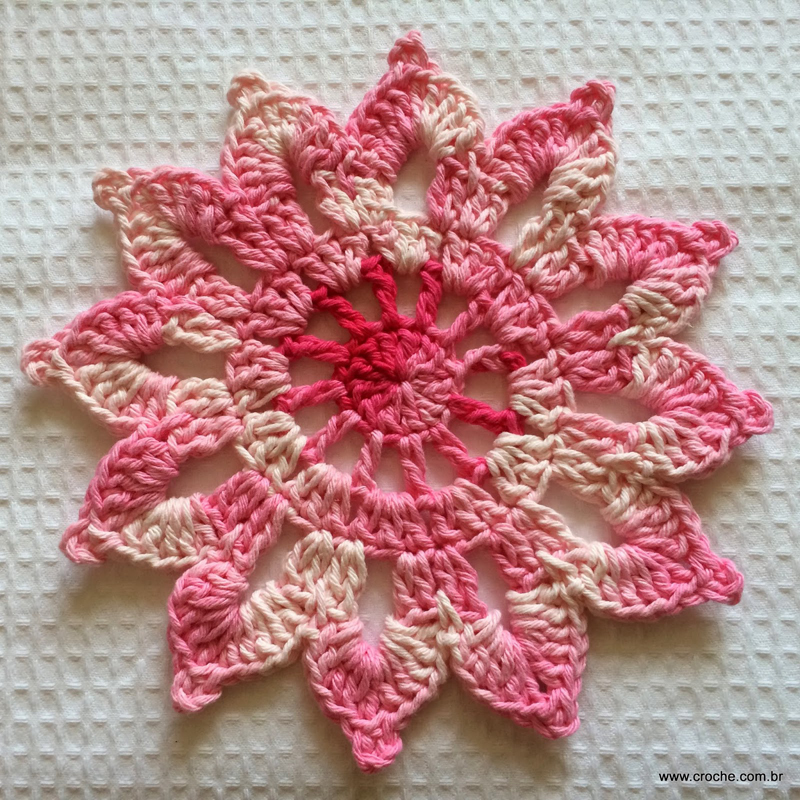 Flores de Crochê Passo a Passo com Gráficos